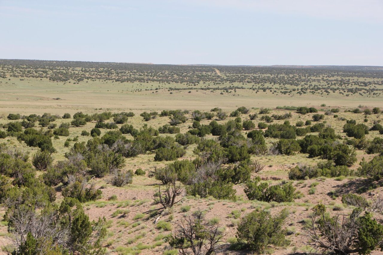 Best Buys - Arizona Land for Sale