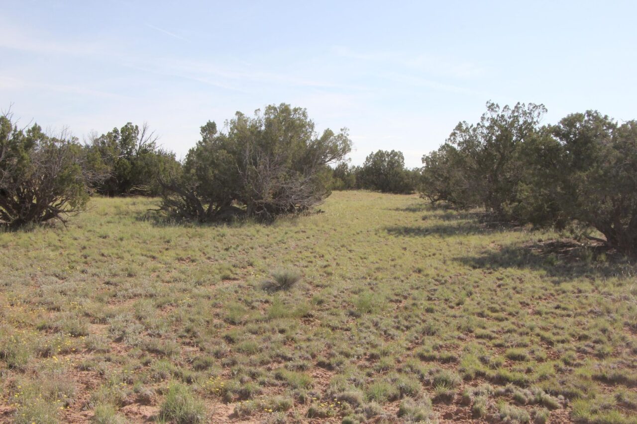 Best Buys - Arizona Land for Sale