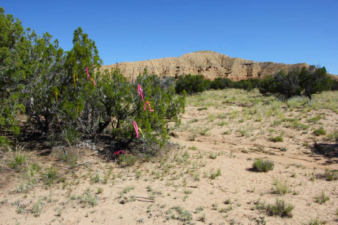 Best Buys - Arizona Land for Sale