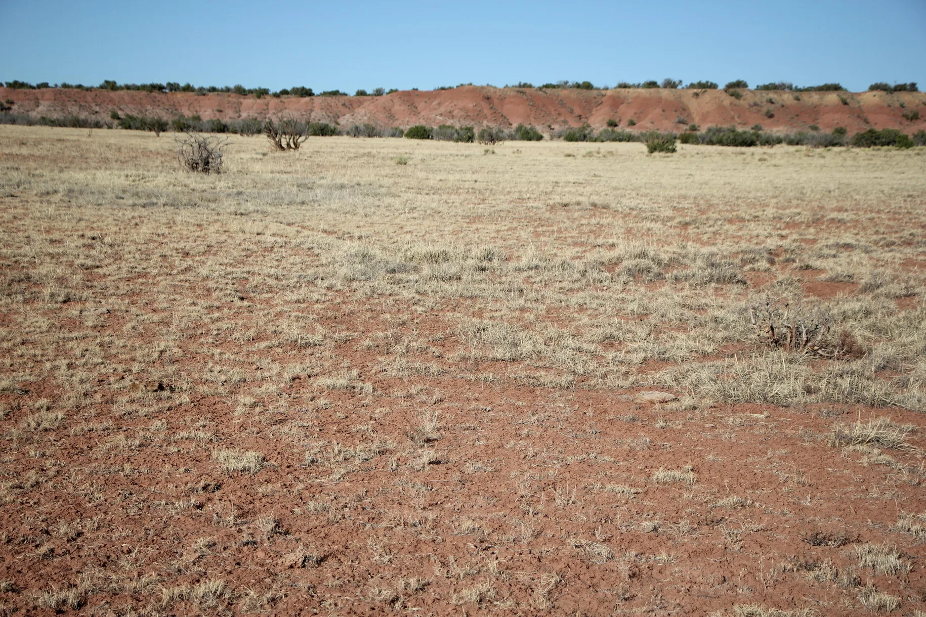 $35,000 25 Acres G Bar Ranch - Arizona Land for Sale