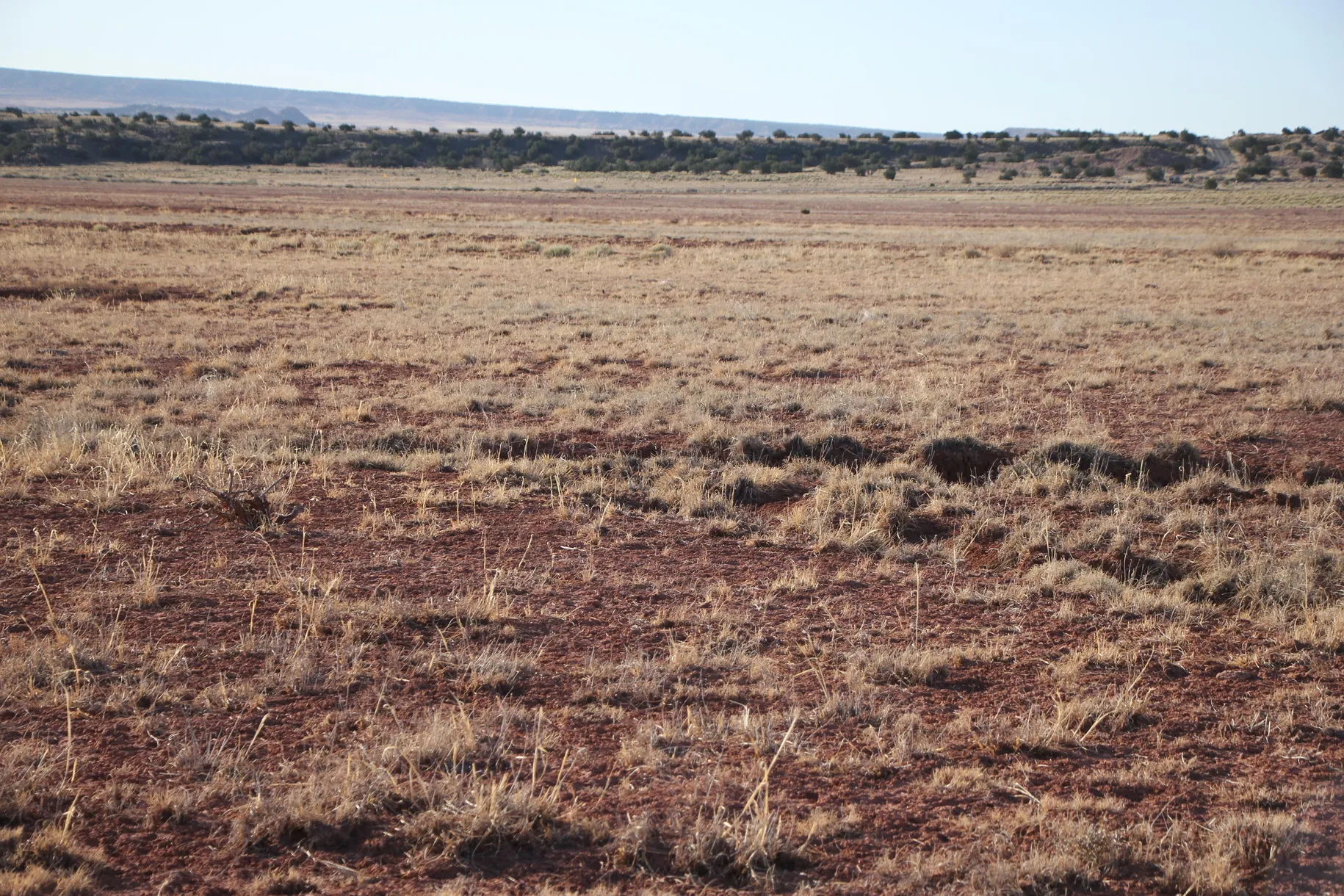 $35,000 25 Acres G Bar Ranch - Arizona Land for Sale