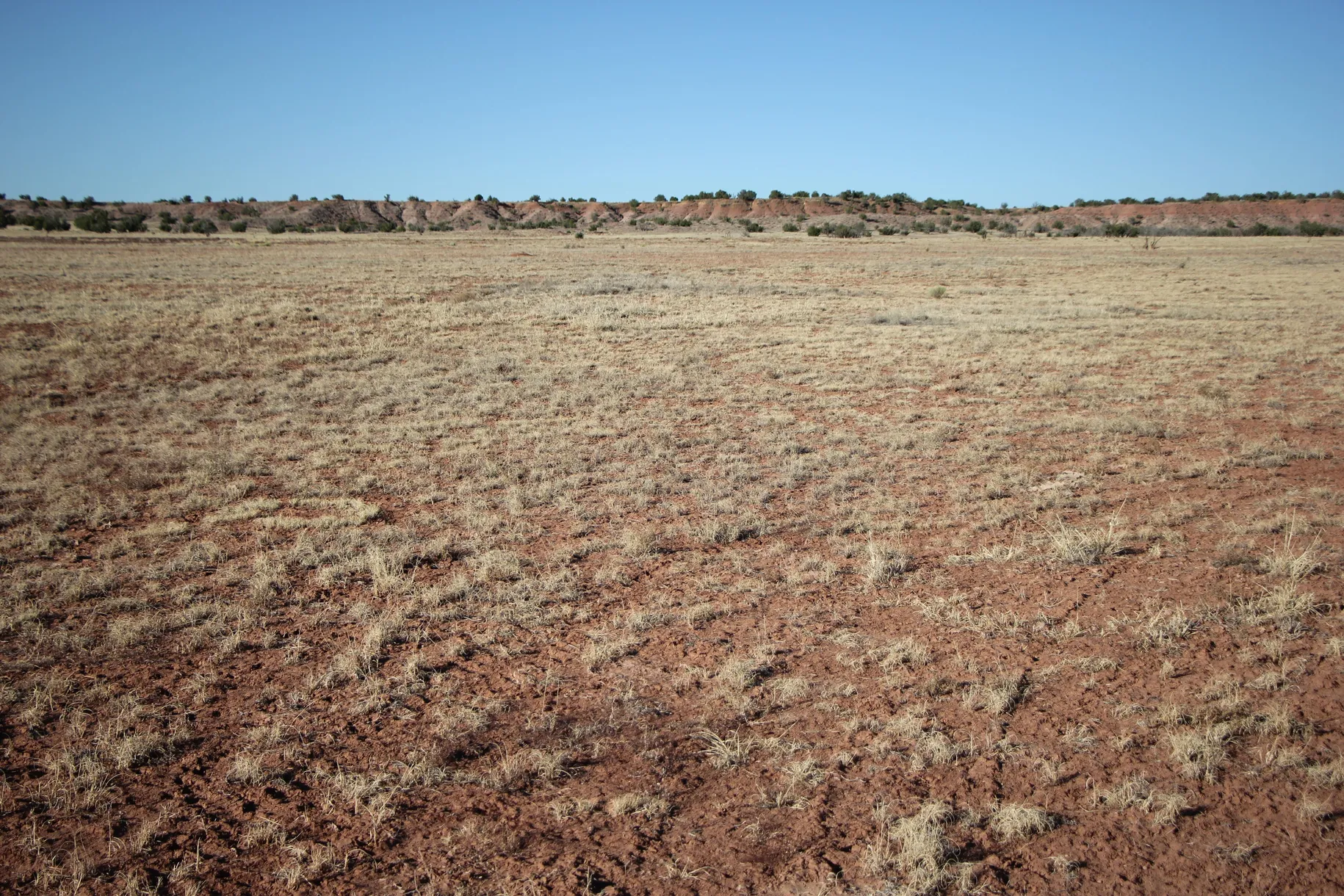 $35,000 25 Acres G Bar Ranch - Arizona Land for Sale