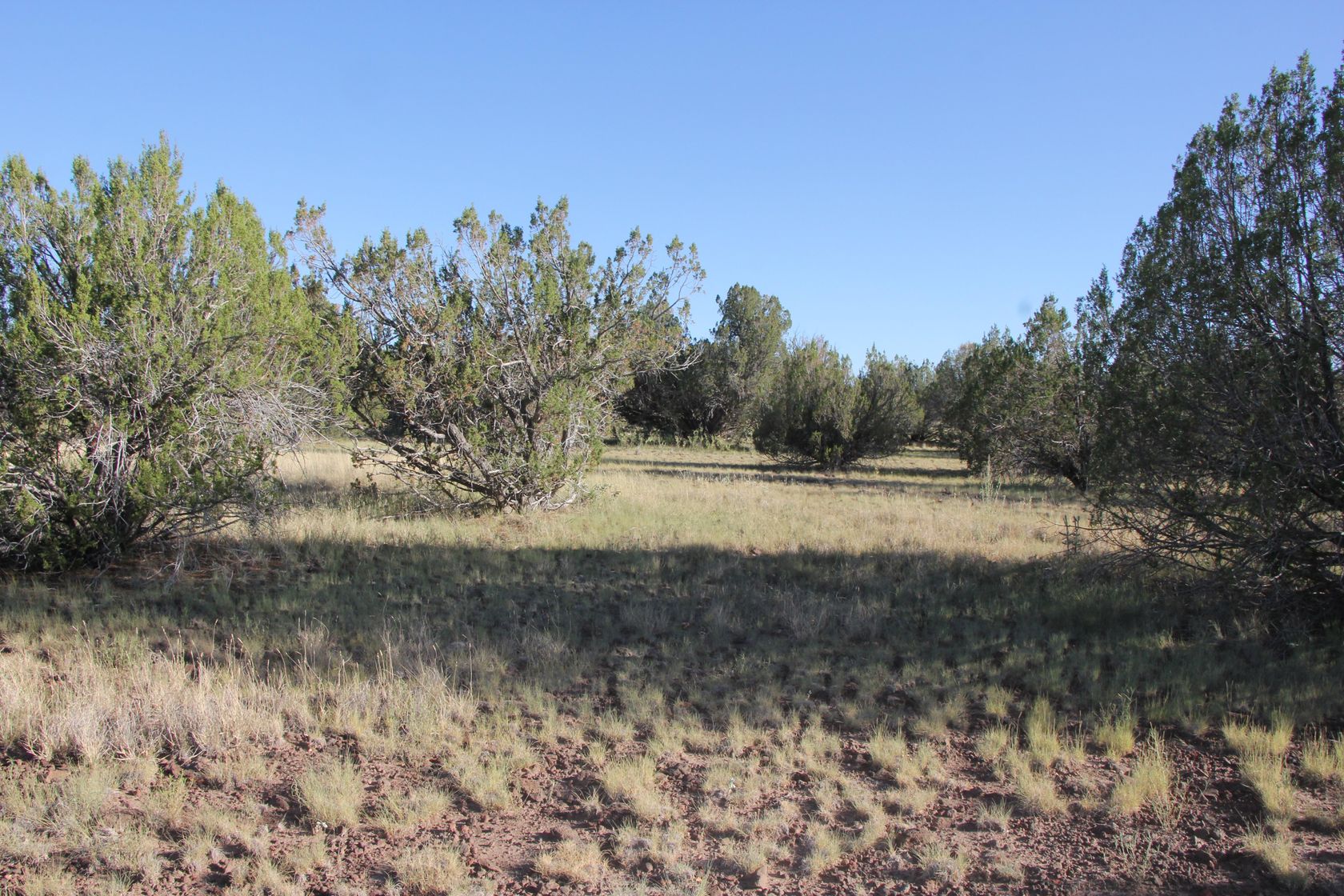 Sierra Verde Ranch 44 acres - Arizona Land for Sale