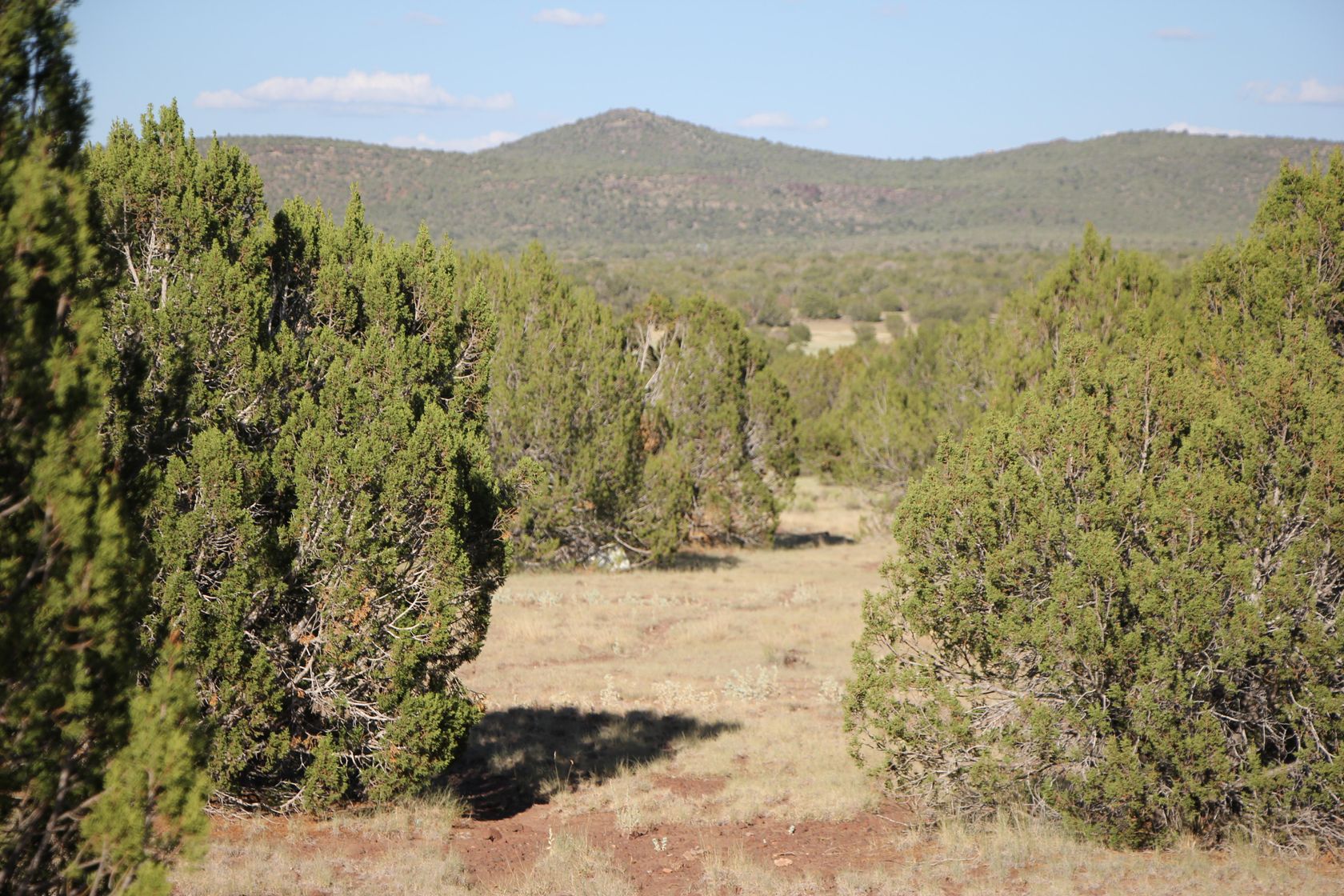 Sierra Verde Ranch 44 acres - Arizona Land for Sale