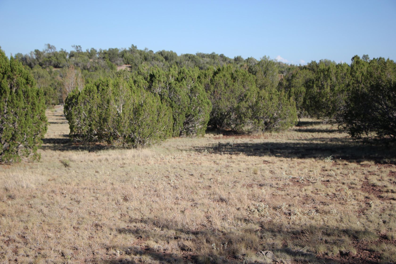 Sierra Verde Ranch 44 acres - Arizona Land for Sale