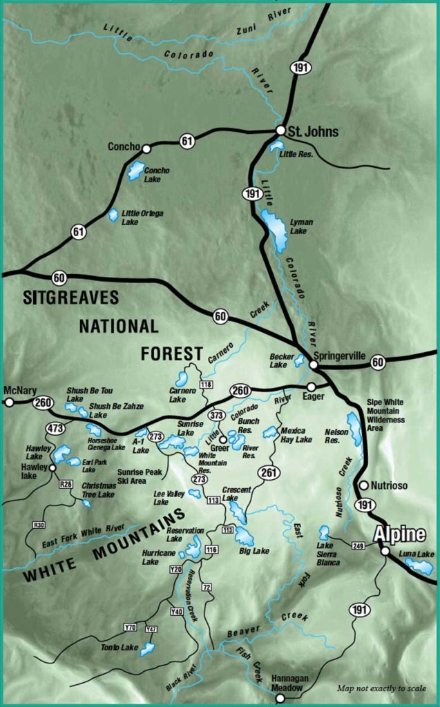 Alpine 8 to 10 Acre Forested Homesites - Arizona Land for Sale